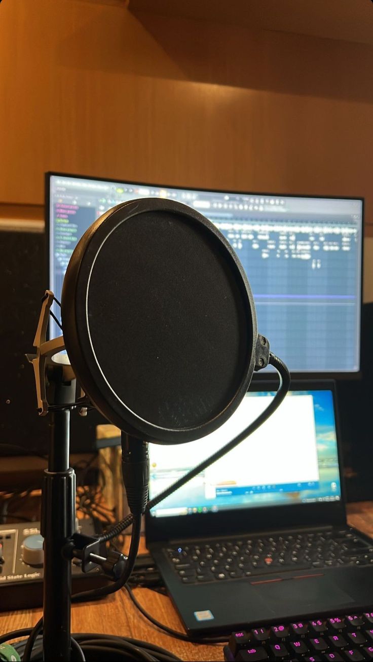 The Art of Voice Over